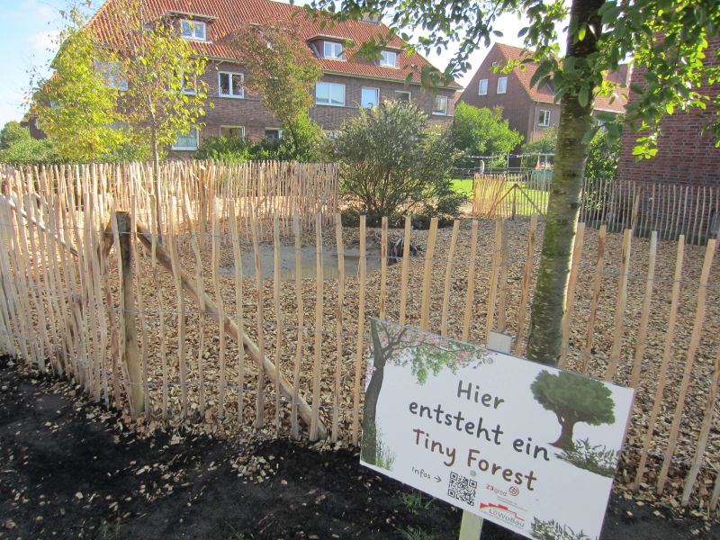 Tiny Forest – Lünepedia